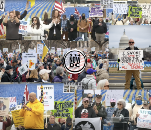 Fourteenth Now! – Movement